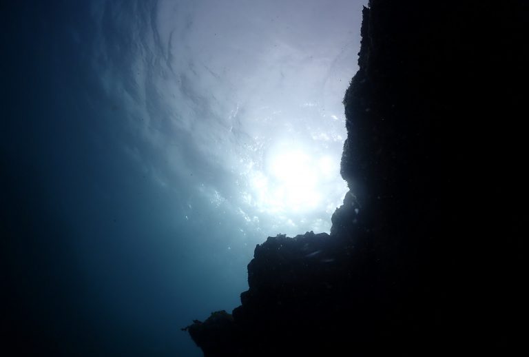 良好オープン@透視度up – 葉山ダイビングサービス